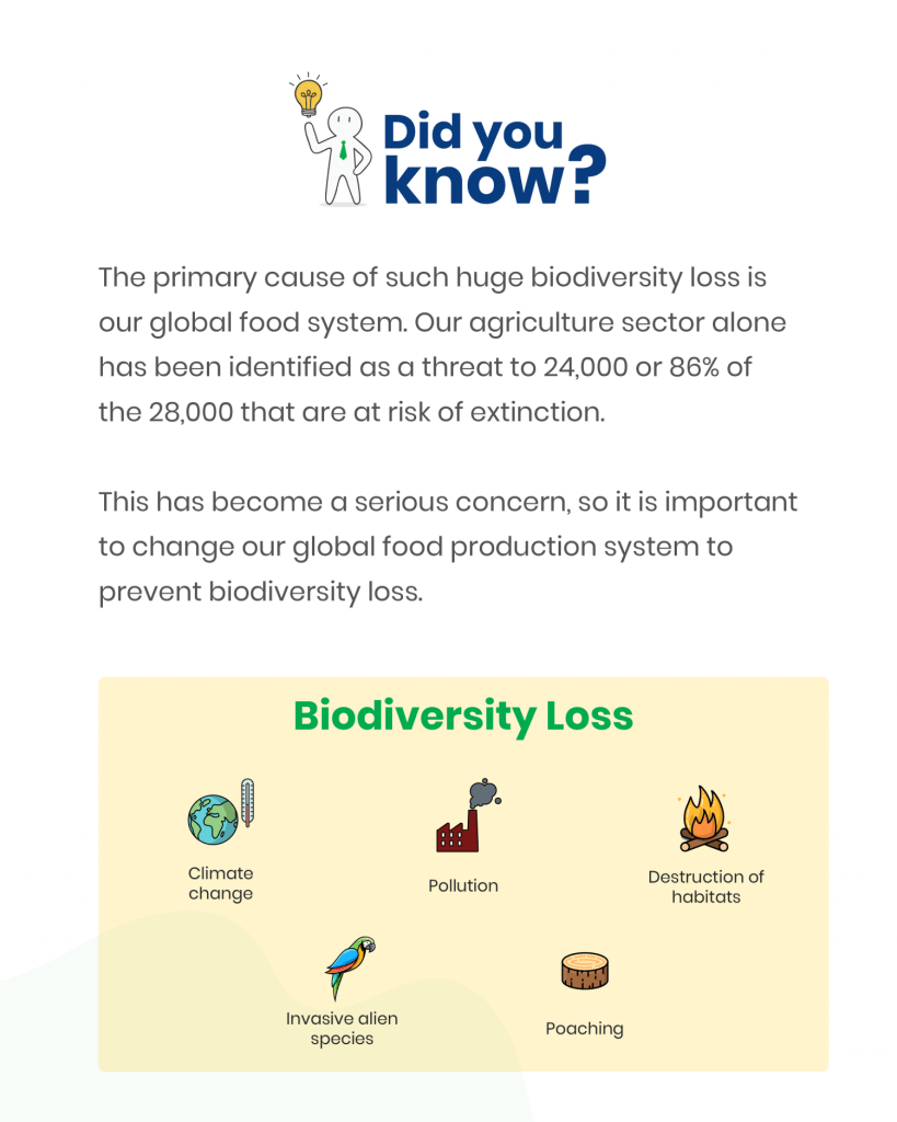 How to Tackle Biodiversity Loss Issues in the Global Food System